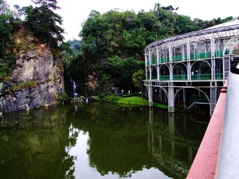 Ópera de Arame: saiba tudo sobre este ponto turístico de Curitiba ...